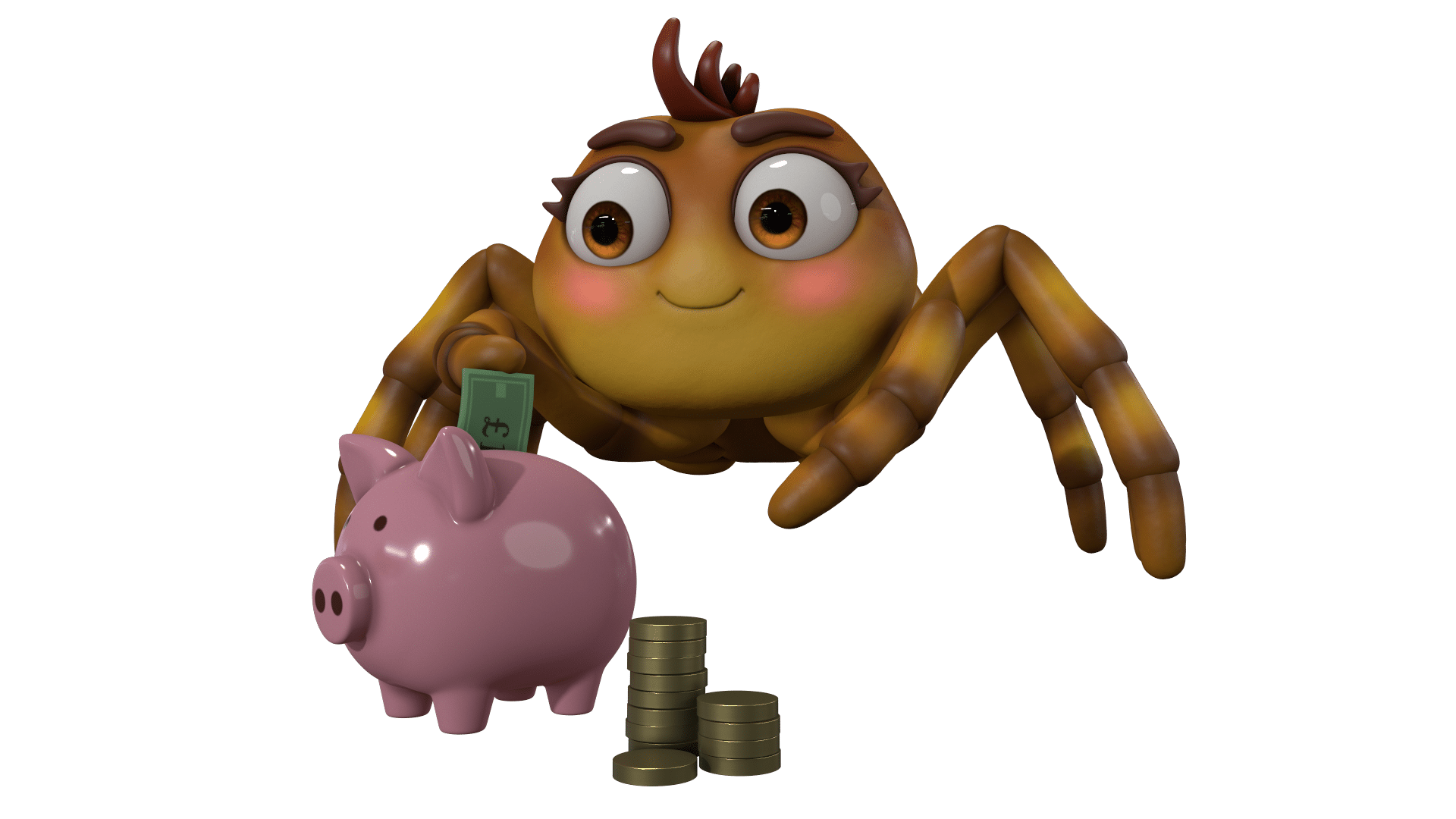 Contact Us - MoneySpider